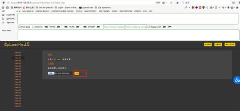 Upload Labs通关笔记 第3关 文件上传之黑名单绕过 技术栈