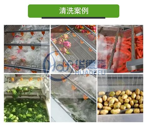 商用气泡清洗机辣椒西红柿净菜加工流水线生菜油菜全自动清洗设备 阿里巴巴