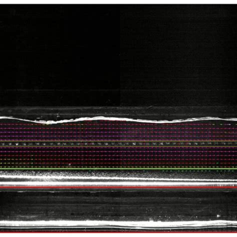 Coloured Vectors Superposed Over A Captured Image Download Scientific