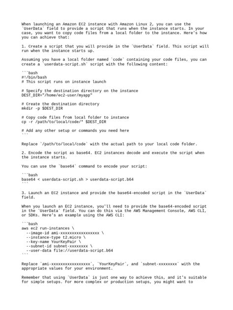 Amazon Linux 2 Userdata Pdf