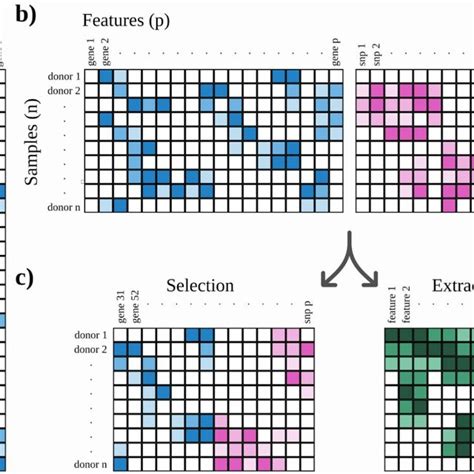 Shapes In Datasets A A Dataset Where Np The Ideal Shape For Many Download Scientific