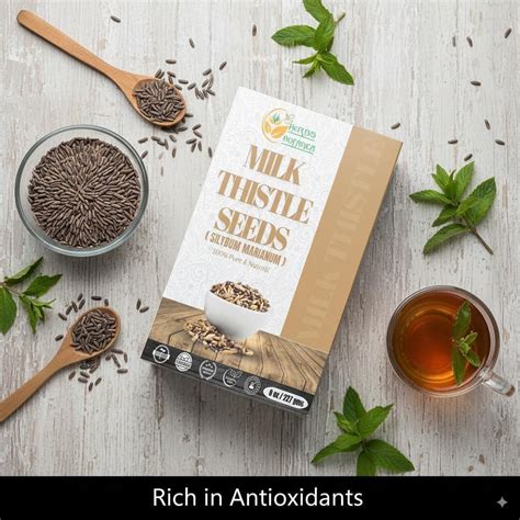 Herbs Botanica Milk Thistle Herb Seeds 100 Natural Cardo Mariano
