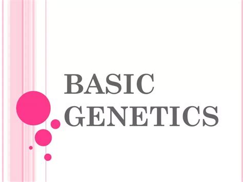 Ppt Basic Genetics Powerpoint Presentation Free Download Id5167694