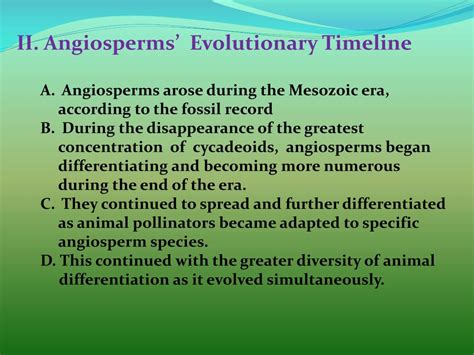 Ppt Angiosperms Flowering Plants Powerpoint Presentation Free