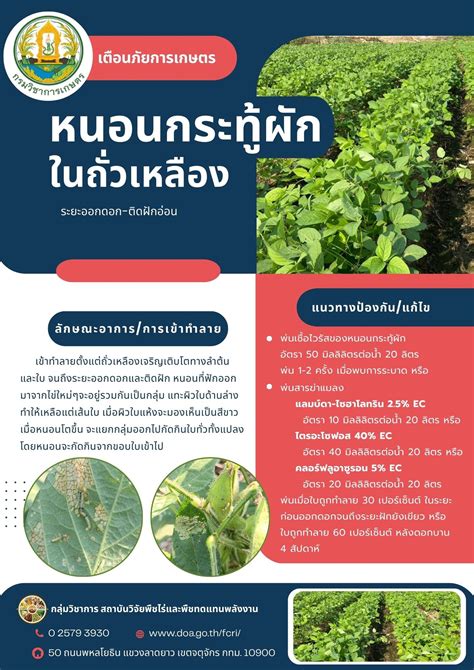 เตือนภัยการเกษตร สถาบันวิจัยพืชไร่และพืชทดแทนพลังงาน Facebook