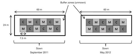 Schematic Representation Of The Field Experiment Représentation
