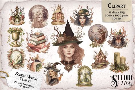 Forest Witch Forest Witch Dark Parables Wiki Fandom