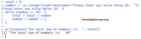 While Loop In R Programming