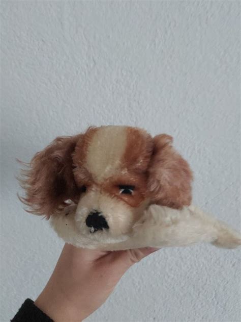 Vintage Steiff Cocker Spaniel Dog