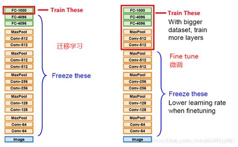 迁移学习与fine Tune训练深度学习预训练模型时冻结部分参数只训练全连接分类层 Csdn博客