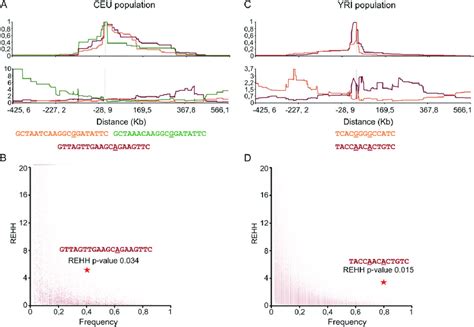 Haplotype Based Tests Of Selection Using Hapmap Phase Ii Data Plots Of Download Scientific