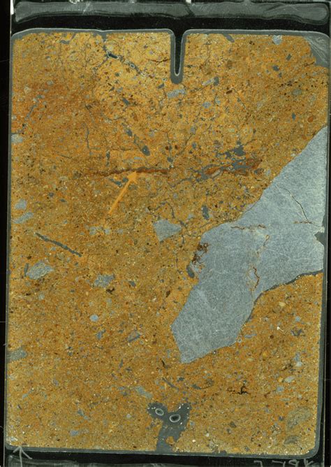 Scan Of Sample 3a Showing Compact And Massive Microstructure In Layer