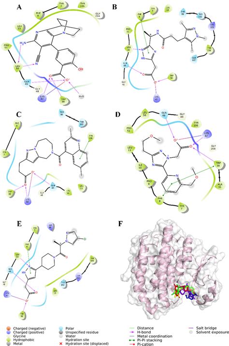 Two Dimensional 2d Representation Of Ligand Interaction Map Of The