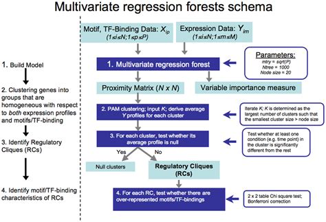 Schema Of Multivariate Regression Forests Download Scientific Diagram