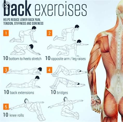 Check Out These Back Exercises To Keep You In Shape Utm Content