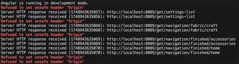 Server Side Rendering Angular Ssr Refused To Set Unsafe Header