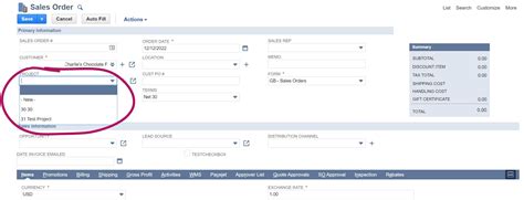 The Netsuite Projects Feature Suiterep
