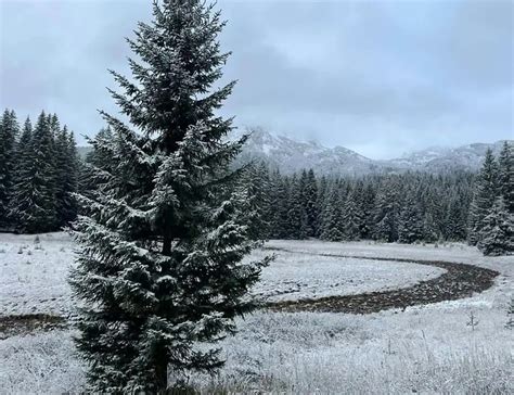 Srna У ЧЕТВРТАК И ПЕТАК СНИЈЕГ НА ПЛАНИНАМА