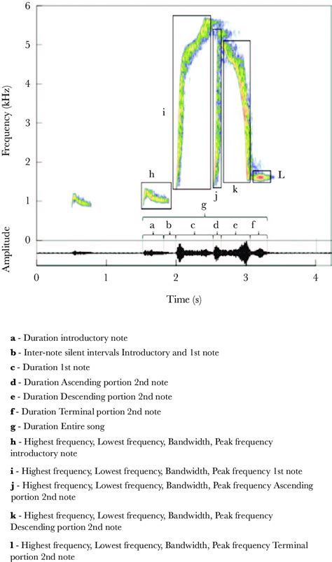 Spectrogram Upper Graph And Waveform Lower Graph Of A Single Song