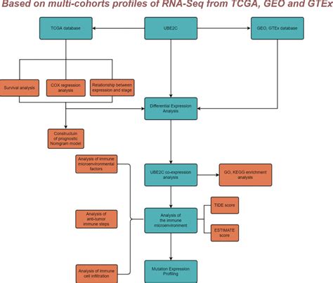Comprehensive Analysis Of The Prognosis And Tumor Immune