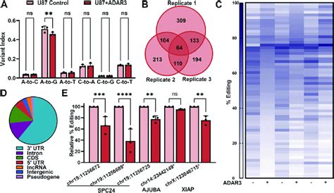 Adar3 Represses Rna Editing Across The Transcriptome A Variant Index