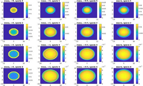 Figure 1 From Multispecies Cross Diffusions From A Nonlocal Mean Field To A Porous Medium