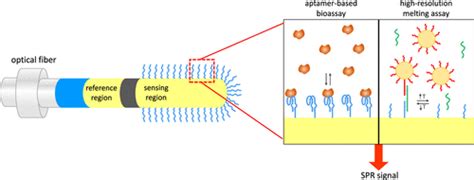 Design And Implementation Of A Dual Region Self Referencing Fiber Optic
