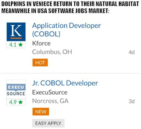 Junior COBOL Developers R ProgrammerHumor