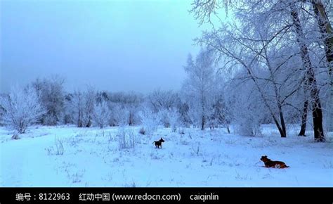 高清实拍西伯利亚雪视频下载红动中国