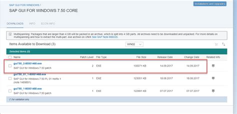 sap gui 7 50 for windows — patch level 2