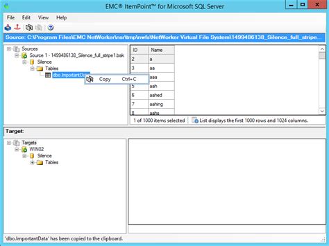 Nmm Sql Glr 08 Data Protection Hub