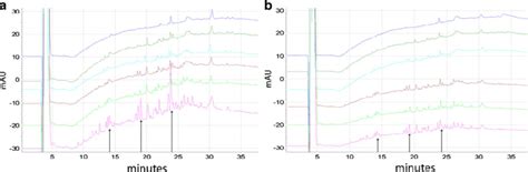 Released Protein Solution Chromatography HPLC HPLC Analysis Of BSA Download Scientific