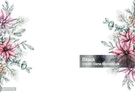 빨간 포인세티아 꽃 솔방울 스노우베리 왁스베리 또는 고스트베리와 에메랄드 가문비나무 가지 소나무 나뭇가지 유칼립투스 상록수 전나무 삼나무가 있는 크리스마스 수평 프레임 꽃