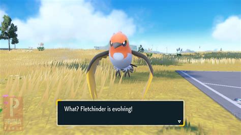 How To Evolve Fletchinder Into Talonflame In Pokemon Scarlet And Violet Prima Games