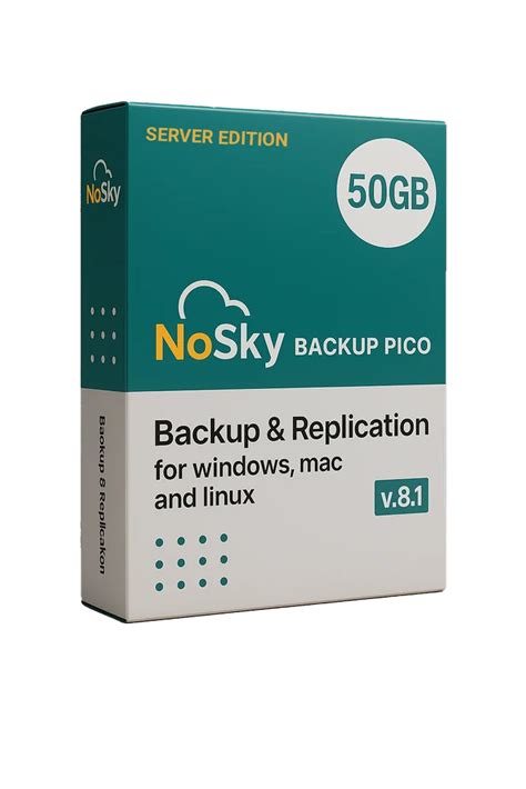 Nosky Aws Cloud Backup Server Pico At ₹ 10799 Day In Noida Id 2856605681862