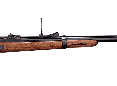 Breech Loading Rifles Model Springfield Trapdoor Carbine 22