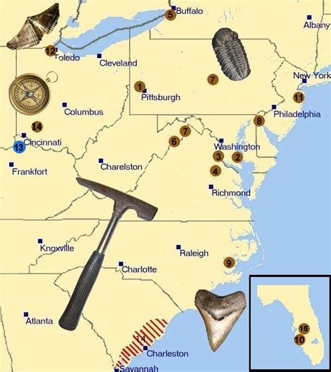 Where To Find Fossils Fossil Hunting Locations