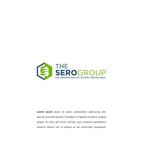 Designs The Sero Group Company Logo For Database Administration