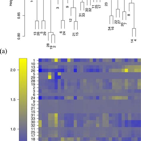 A Hierarchical Cluster Tree Generated From Diffusion Map Embedding Download Scientific