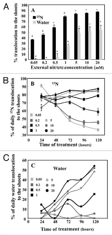 Comparison Of Static And Dynamic Partitioning Of 15 N And Water To The