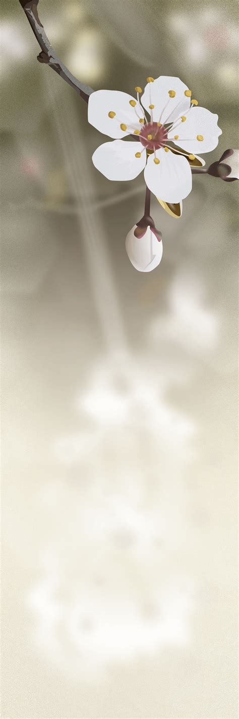 White Flower Drawn In Adobe Illustrator As Part Of Flower Series