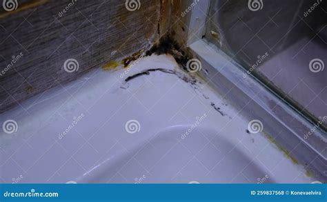 Moisture On Bathroom Walls At Tammy Jackson Blog