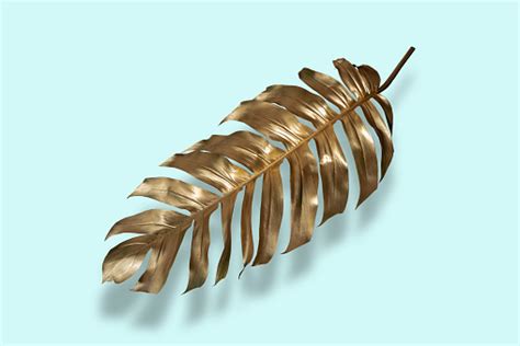 파스텔 럭셔리 그린에 황금 열대 야자 잎 몬스터 디자인및 텍스트 공간을 위한 추상 패턴 야자 나무 Arecales에 대한 스톡 사진 및 기타 이미지 야자 나무