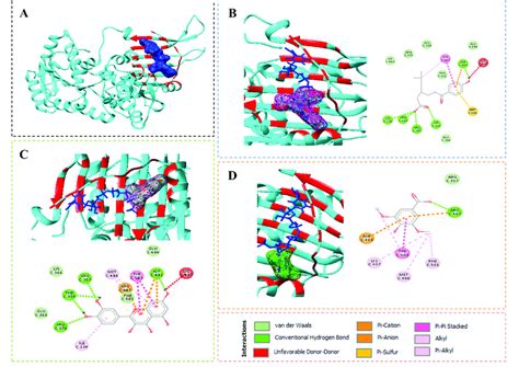 The Comparative Binding Modes Between Nadp And Three Compounds Inside