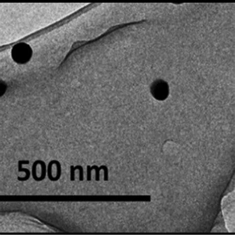 Selenium Nanoparticles 200 Mg L Analysis Through The Transmission Download Scientific Diagram