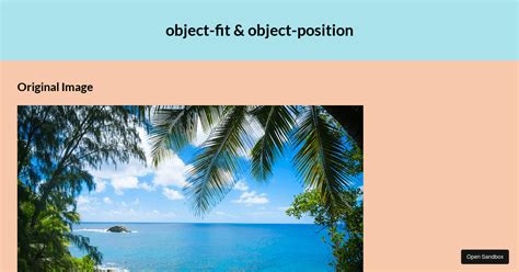 Object Fit Codesandbox