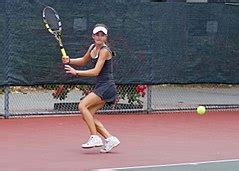 Categorycici Bellis Wikimedia Commons