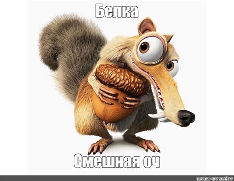 Создать мем белка из ледникового периода белка ледниковый скрат из ледникового периода