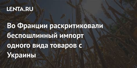 Во Франции раскритиковали беспошлинный импорт одного вида товаров с Украины Госэкономика