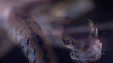 ГештальТ ГадЫ клип Youtube